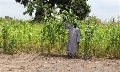 Smallholder Farmers Are They Really Poor Foodlog