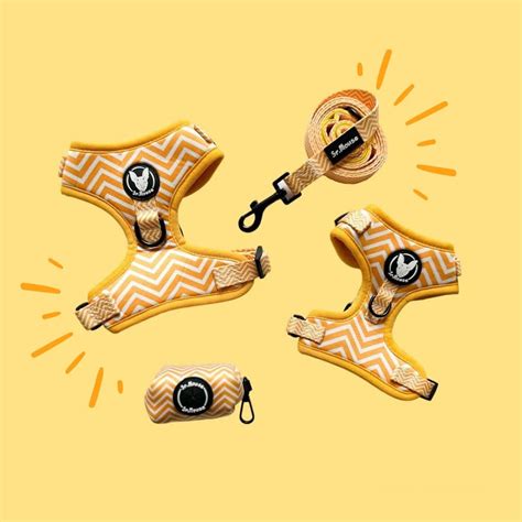 Pack Zig Zag Sr Mouse