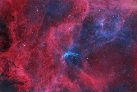 Wolf Rayet Star Captured From Light Polluted Backyard With Armature Telescope Rinterestingasfuck