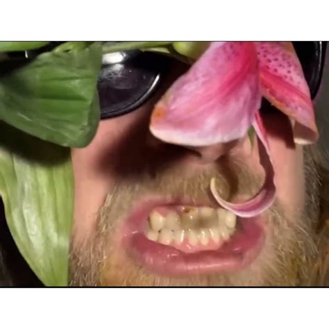 Hello Junkie Jack G Wilson