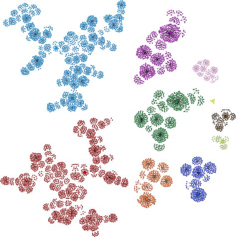 Frontiers Griffin A Tool For Symbolic Inference Of Synchronous