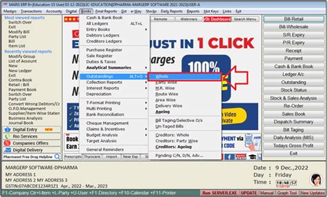 How To View Debtor Outstanding Report On The Bases Of Overdue Days In