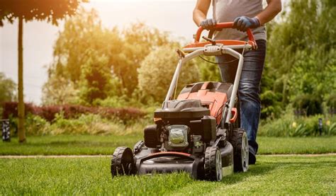 Why Is My Lawn Mower Vibrating Badly Gardeninghow