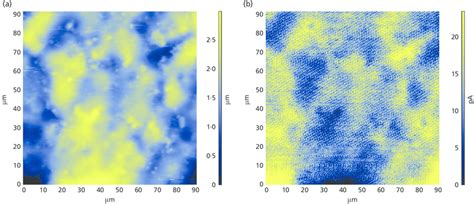 Topographical Image Of A Epoxy Coating Surface And B Corresponding