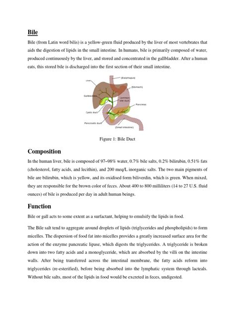 Function Of Duodenal Juice And Bile Pdf Bile Digestive System