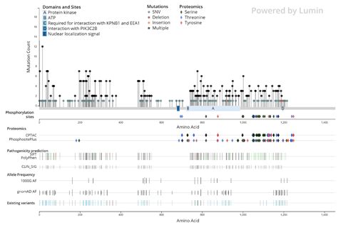 Her2 Amplified In Vivo Screen