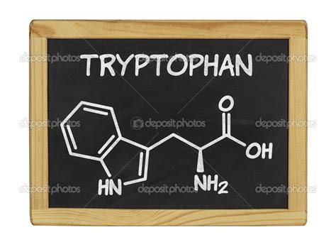 Fórmula Química Del Triptófano En Una Pizarra 2023
