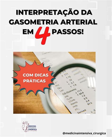 Maria Eduarda Macedo Posted On Linkedin