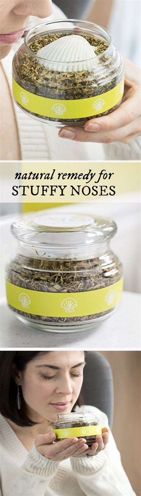 Sandra Decker Sandra1953 Profile Pinterest