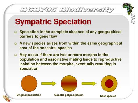 Ppt Evolution Selection And Speciation Powerpoint Presentation Id