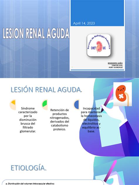 Lesión Renal Aguda Pdf Riñón Angiotensina