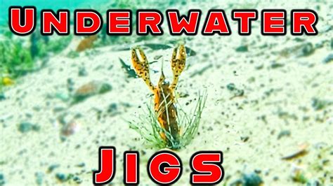 How Does Your Jig Compare Underwater Footage Of Jigs And Jig