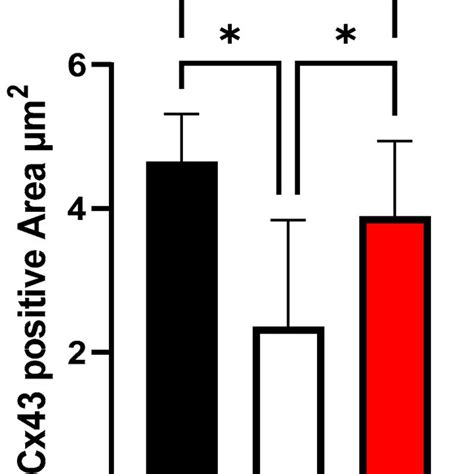 Quantitative Analysis For Cx43 Expression Cx43 Signal Intensity In The