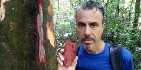 Aphrodisiac Plants For Better Sex Business Insider