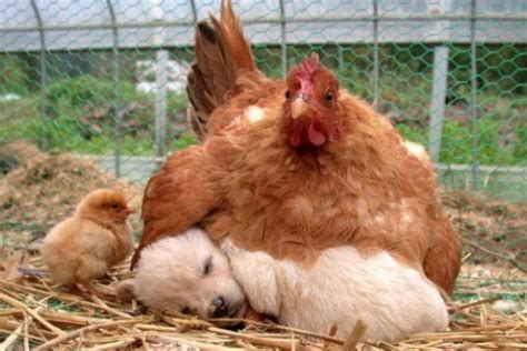 Something Is Wrong Here Imgur