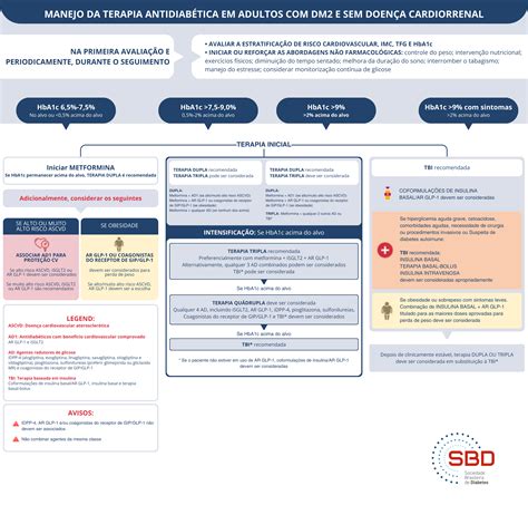 Manejo Da Terapia Antidiabética No Dm2 Diretriz Da Sociedade