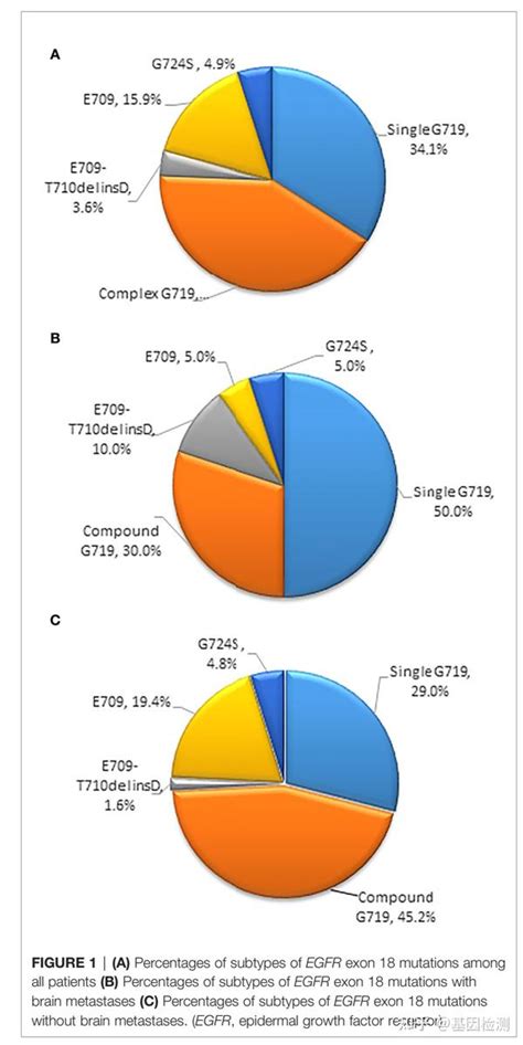 罕见不常见的egfr突变 知乎