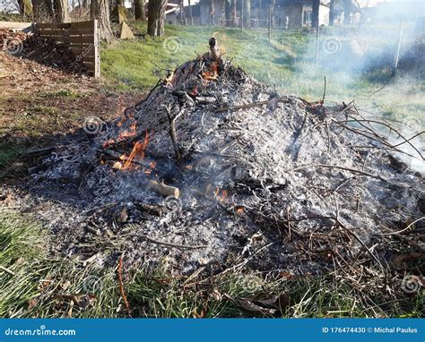 Can I Put Fire Ash On My Garden At Michael Dittmer Blog