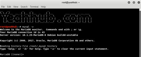 Linux System Reconnaissance Top Linux Commands Yeah Hub