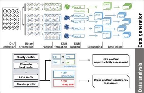 Assessment Of The Cpas Based Bgiseq 500 Platform For Metagenomic Sequencing