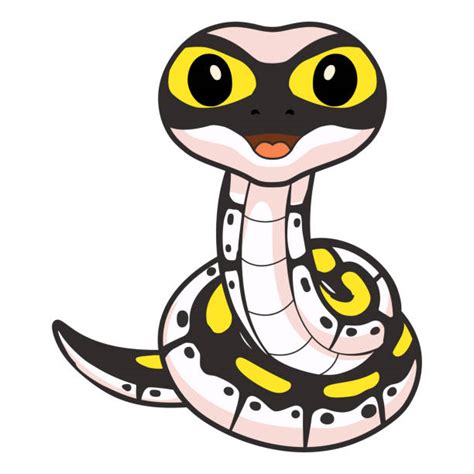 120 Royal Albino Python Illustrations Royalty Free Vector Graphics