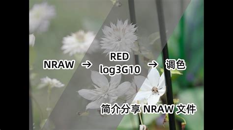 作品展示·素材分享 Nraw素材分享，log3g10调色练习。 Youtube