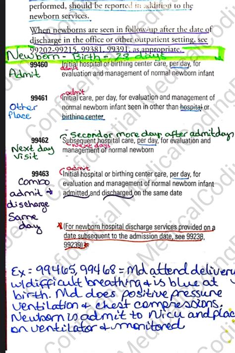 Best 13 2024 Em Evaluation And Management Cpt Instant Download