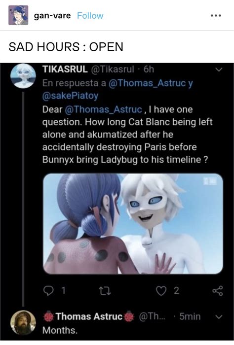 Pin By Vanianillux On Miraculous Ladybug And Chat Noir Miraculous