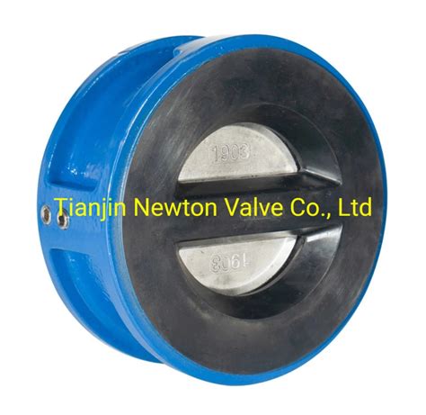 Dn40~dn200 Pn10 Pn16 Ductile Cast Iron Double Disc One Way Non Return