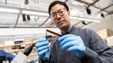 Ultra Thin Wireless Pacemaker Is Powered By Light