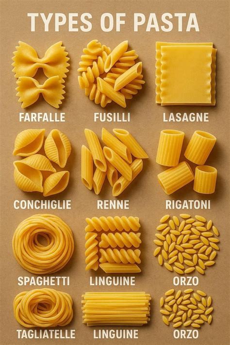 Types Of Pasta Illustration Labeled Italian Cuisine Shapes Explanation Artofit