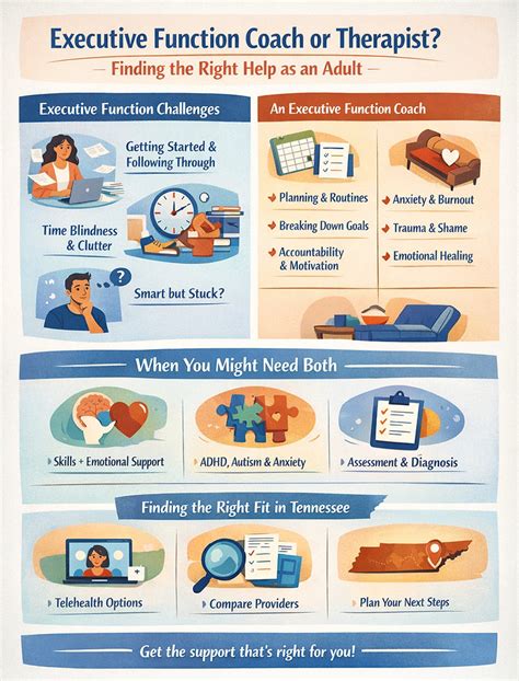 Executive Function Coach Or Therapist How To Choose For Adults