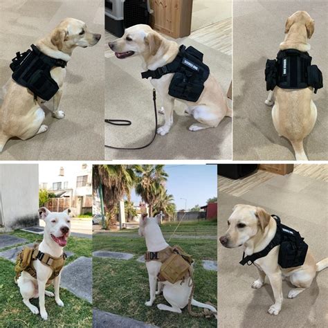 K9 Tactische Militaire Vest Voor Alle Rassen