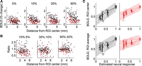 voxel based analysis of bold contrast response a response amplitude