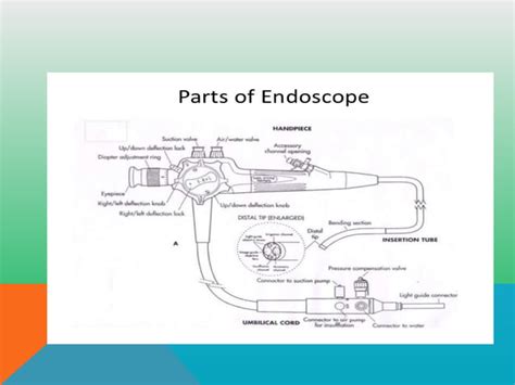 Endoscopy Ppt
