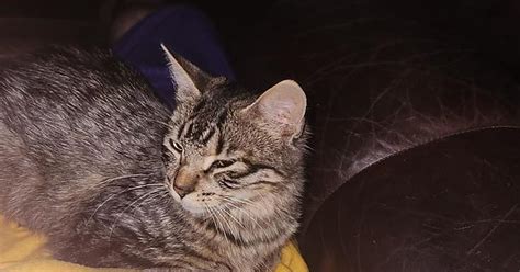 Update Album On Imgur