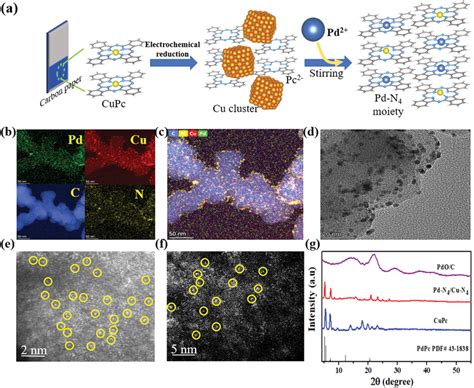 A The Schematic Diagram Shows The Synthesis Of The Dsac Dual Download Scientific Diagram