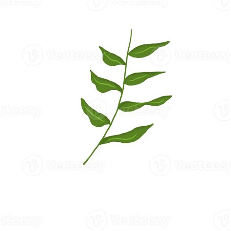 Flat Botanical Leaf Branch Illustration 67941838 Png