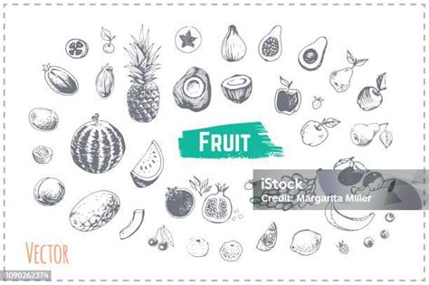 흰색 배경에 고립 그려진된 과일과 열매 세트 손 유기농 건강 식품의 그림을 스케치 합니다 빈티지 벡터 아이콘 석류에 대한 스톡 벡터 아트 및 기타 이미지 Istock