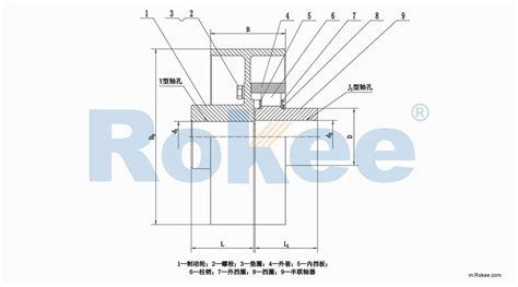 Lzz Pin Gear Coupling Zll Flexible Coupling Rokee