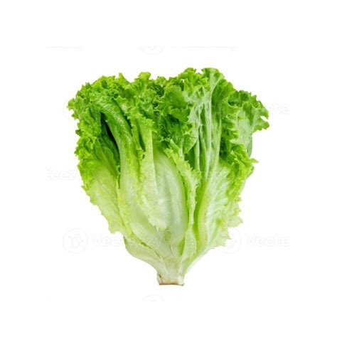 Lechuga El Gringo Delivery