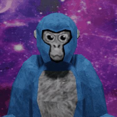 Gorilla Tag Cabbagegt Meme 
