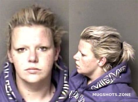 Braswell Terri Elizabeth 03312025 Gaston County Mugshots Zone
