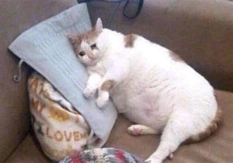 Me Laying Down Watching Viktors Passive Become Worse And Worse R