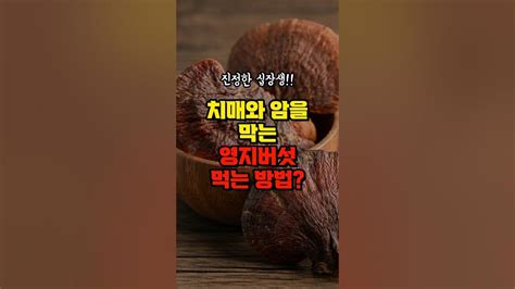 치매와 암을 막는 영지버섯 먹는 방법 영지버섯 몸에 좋은 5가지 이유 이렇게 먹으면 좋아요 Youtube