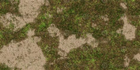 Cracked Glade Ground With Moss Seamless Texture Dry Land With Grass