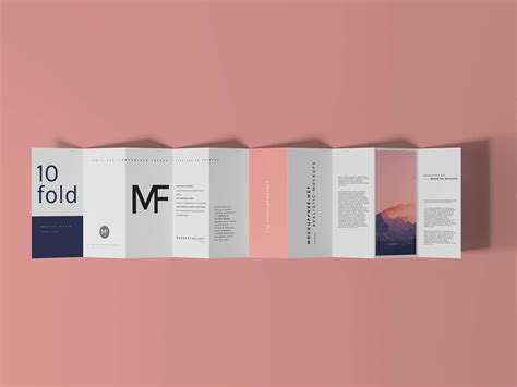 Dl 10 Panel Accordion Fold Brochure Mockup Files Free Psd Templates