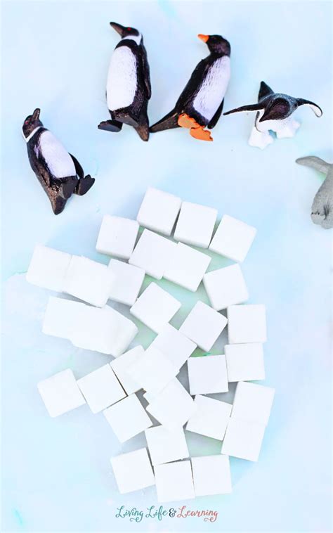 Exciting Winter Fun Build An Igloo Stem Challenge