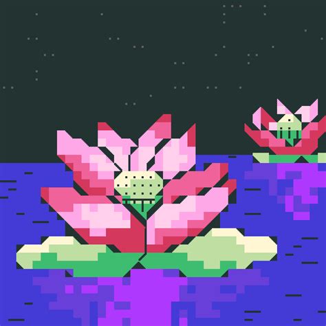 Flower Lotus  By Ailadi Find And Share On Giphy