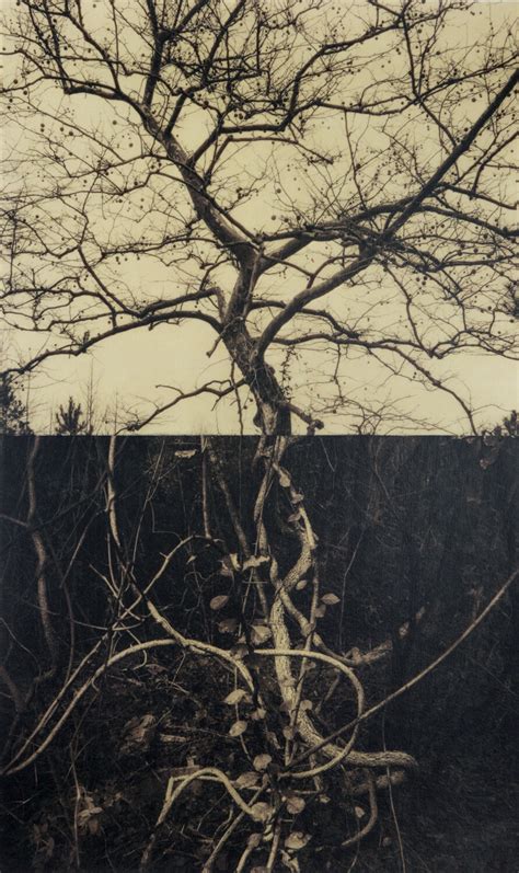 Tangled — Janet Matthews